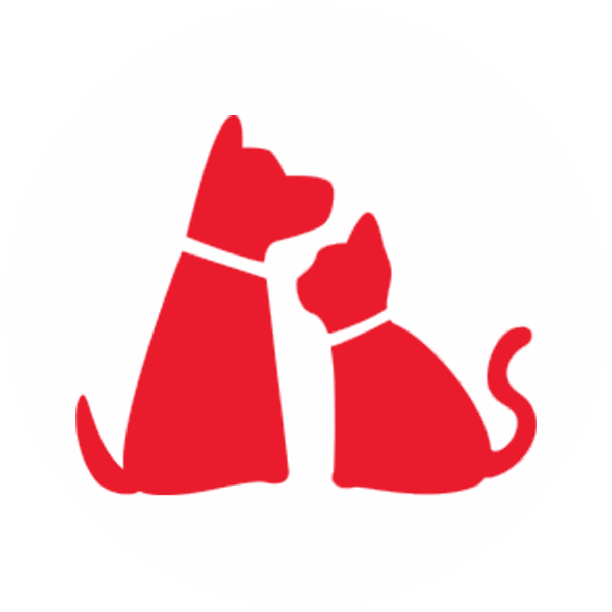 Pet Care Pet Care