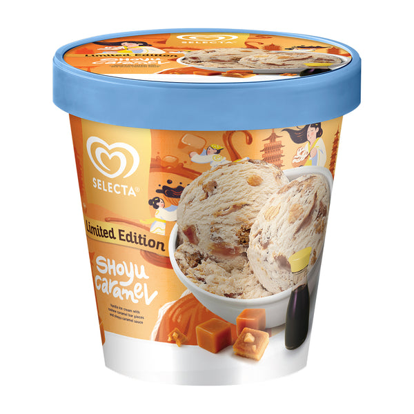 Selecta Shoyu Caramel Ice Cream Pint 450ml – Ever Supermarket