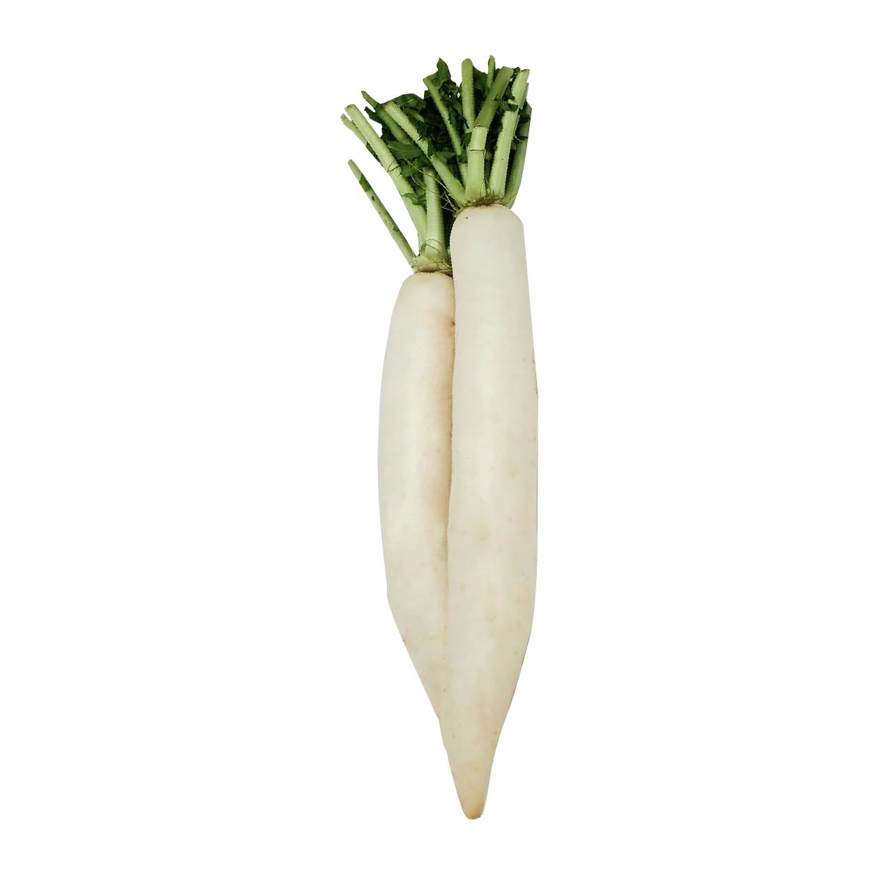 Yesha Radish White 500g – Ever Supermarket