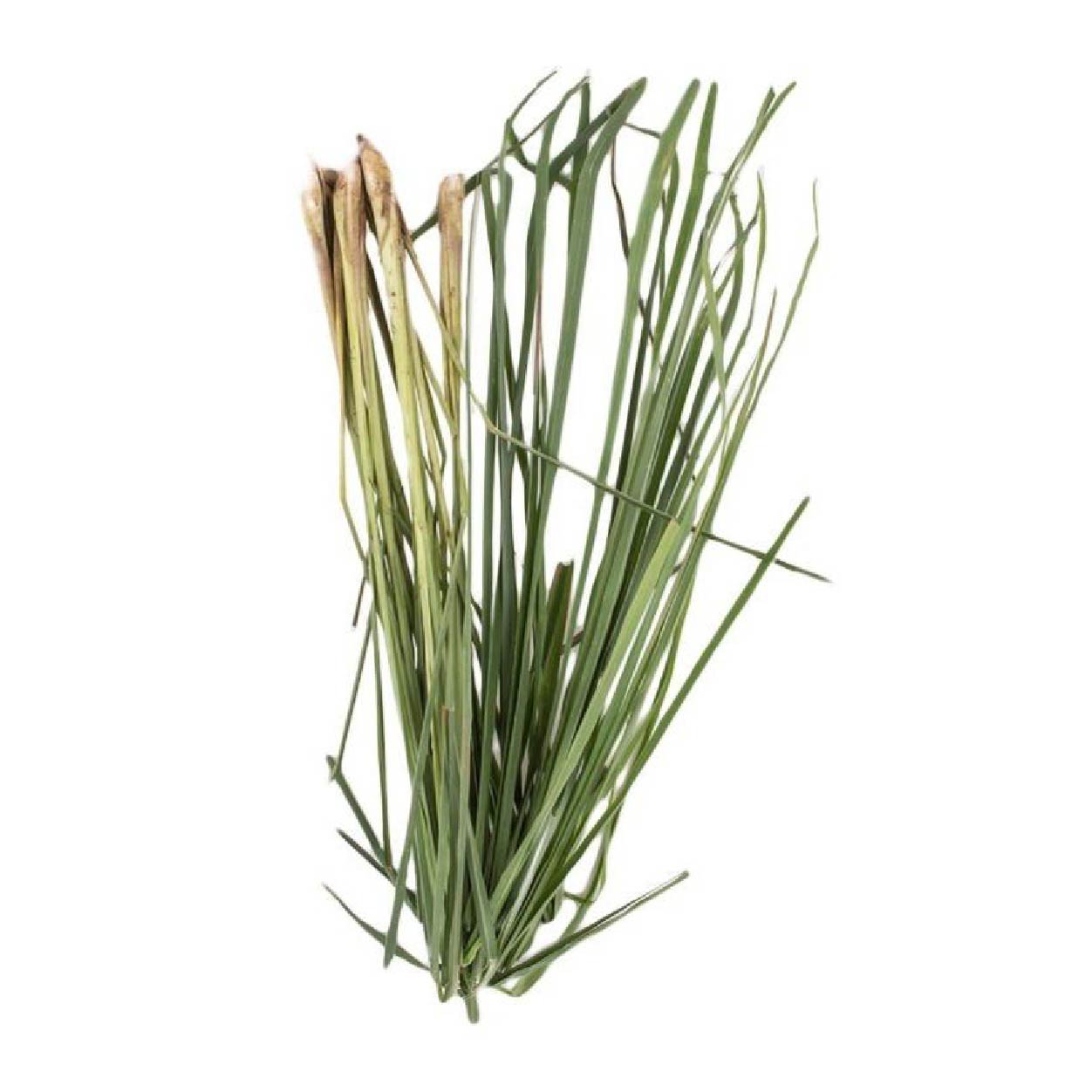 Yesha Tanglad Lemon Grass 200g – Ever Supermarket